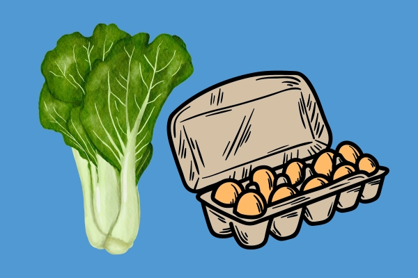 Zhenghua One Dollar Deal